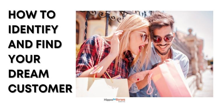 How to Identify and Find Your Dream Customer - Hippos To Horses ...